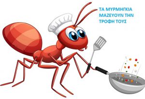 ΤΑ ΜΥΡΜΗΓΚΙΑ ΜΑΖΕΥΟΥΝ ΤΗΝ ΤΡΟΦΗ ΤΟΥΣ - Εκπαίδευση Δίχως Όρια